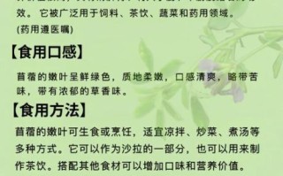 吃苜蓿的禁忌_什么人不能吃苜蓿