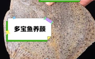 儿童吃多宝鱼有害处吗_多宝鱼适合孩子吃吗