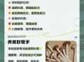 茶树菇排骨汤的功效与禁忌_孕妇可以喝吗
