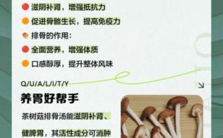 茶树菇排骨汤的功效与禁忌_孕妇可以喝吗