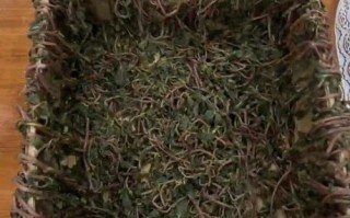 蚂蚱菜图片功效与作用_蚂蚱菜怎么吃最好