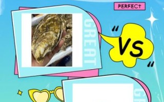 生牡蛎图片长什么样_生牡蛎与煅牡蛎区别