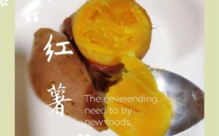 水煮红薯要煮多久_红薯煮多久才软糯
