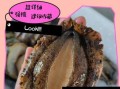 半夜洗鲍鱼会不会影响口感_鲍鱼清洗最佳时间