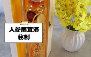 人参泡酒用什么酒最好_人参泡酒配方比例是多少