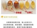 女人一天吃几颗白果好_白果一天最多吃多少粒
