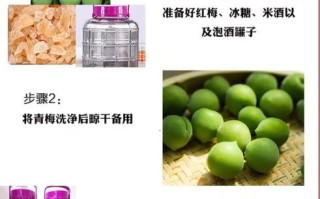 青梅酒怎么做_青梅酒制作方法步骤