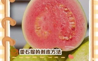 番石榴皮能吃吗_番石榴皮怎么吃