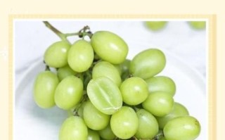 吃提子上火吗_提子是凉性还是热性