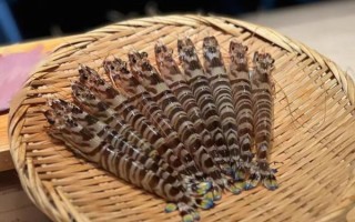 斑节对虾是河虾还是海虾_斑节对虾生长环境揭秘