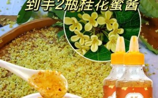 桂花蜜怎么吃最好_桂花蜜的正确吃法