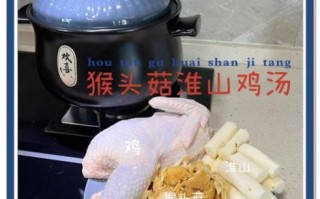 猴头菇煲鸡汤怎么做_猴头菇鸡汤功效与禁忌