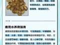 鹿茸泡水喝的功效与作用_鹿茸泡水怎么喝效果最好