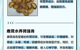 鹿茸泡水喝的功效与作用_鹿茸泡水怎么喝效果最好