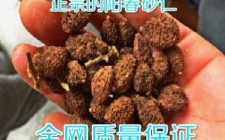 砂仁价格2021最新价格_砂仁多少钱一斤