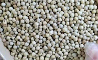 清炖羊肉汤放什么调料_清炖羊肉汤调料清单