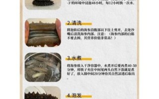 在家发海参的正确方法_海参怎么发才最快