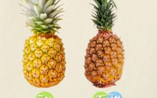 菠萝怎么挑选_菠萝怎么吃才不上火