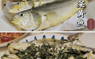 雪菜小黄鱼怎么做好吃_雪菜小黄鱼正宗做法窍门