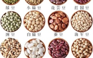 豆子种类有哪些_如何区分不同豆类
