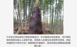 毛竹笋怎么炒_毛竹笋炒之前要焯水吗