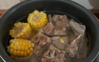 排骨怎么炖才软烂_高压锅压多久