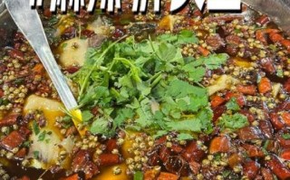 胖头鱼怎么做好吃_胖头鱼的家常做法