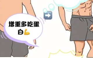 男人长胖最有效的方法_如何快速增重