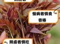 香椿芽是发物吗_哪些人不能吃