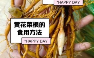 腌菜花根怎么腌制_菜花根腌制方法