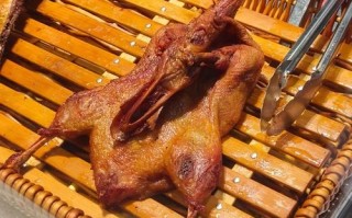 炸鸭子怎么做才外酥里嫩_炸鸭子的做法大全