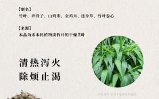 淡竹叶的功效与作用_淡竹叶主治什么病