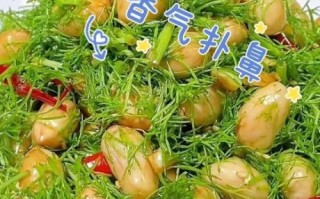 茴香花生米怎么做好吃_茴香花生米做法窍门