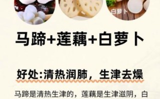 马蹄图片功效与作用_马蹄生吃还是熟吃好