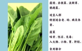 菠菜的功效与作用_菠菜怎么吃最有营养