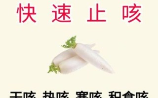 白萝卜汤治咳嗽吗_白萝卜汤怎么做止咳