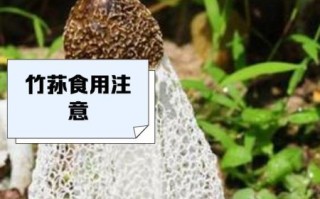 竹荪哪些部位不能吃_竹荪的菌盖和菌托要去掉吗