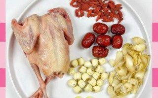 广东炖鸽子汤的做法_广东炖鸽子汤用什么配料