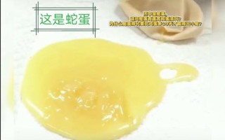 蛇蛋长什么样_蛇蛋孵化需要多久