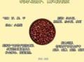 红豆的功效与作用_红豆怎么吃最养生