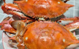 海螃蟹蒸几分钟最佳_蒸海螃蟹冷水还是热水下锅