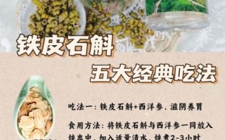 石斛怎么吃效果最好_石斛的正确吃法