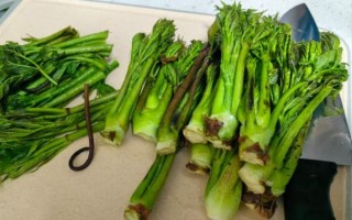 山野菜刺嫩芽怎么做好吃_刺嫩芽的做法大全