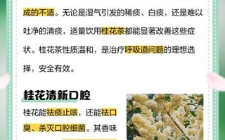 桂花有什么功效与作用_桂花泡水喝的功效