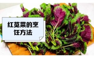 红苋菜怎么择菜_红苋菜择菜技巧