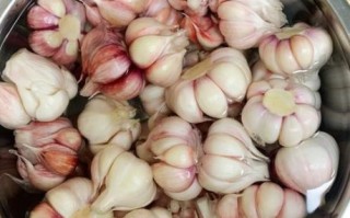 糖蒜怎么腌制_糖蒜的家常做法大全 糖蒜怎么腌制_糖蒜的家常做法大全
