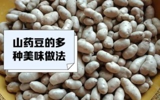 麻山药豆怎么做好吃_麻山药豆的做法大全