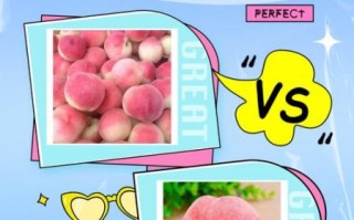 毛桃怎么吃_毛桃和油桃区别