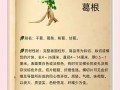 野生葛根的功效与作用_野生葛根怎么吃效果最好