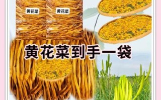 干黄花的功效与作用_干黄花怎么吃最好